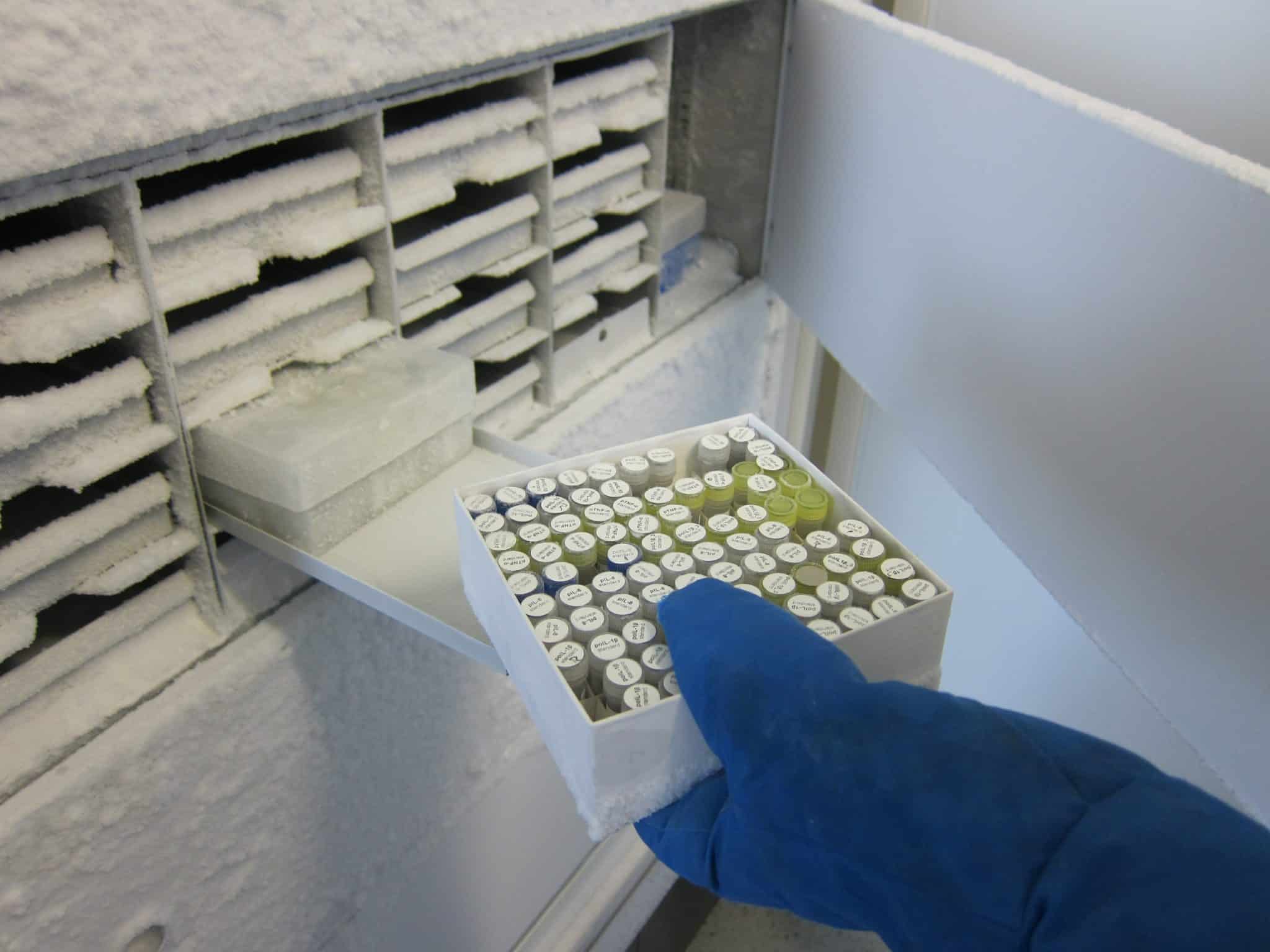 The Past, Present and Future of Ultra-Low Temperature Storage ...